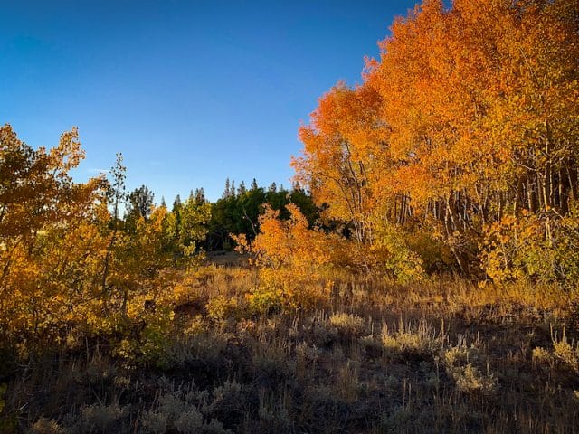 10 Places to Experience Fall in Southern California